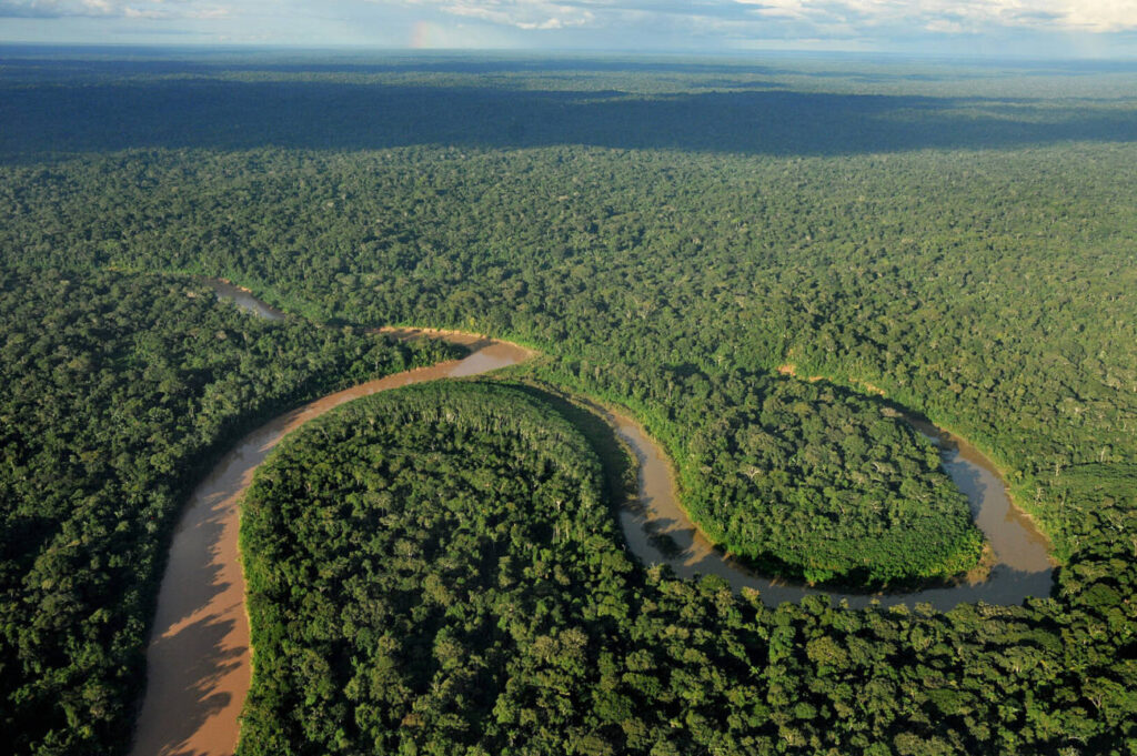 Forests & Plains – African Geographic Society
