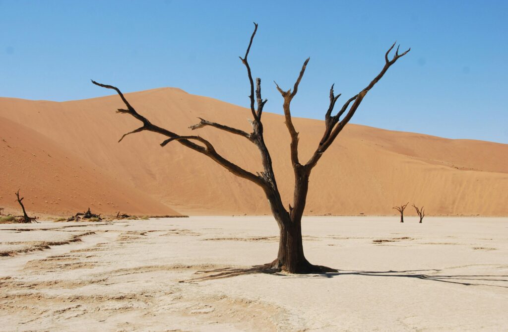 Deserts – African Geographic Society